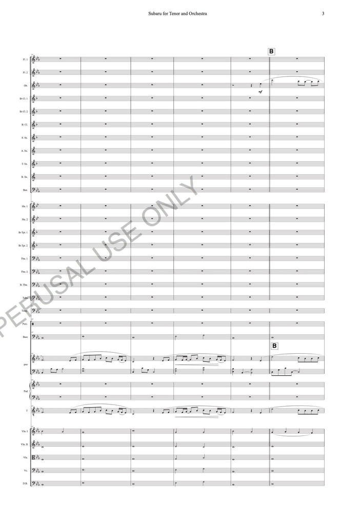Pop Orchestra - Subaru for Singer and Orchestra sheet music
